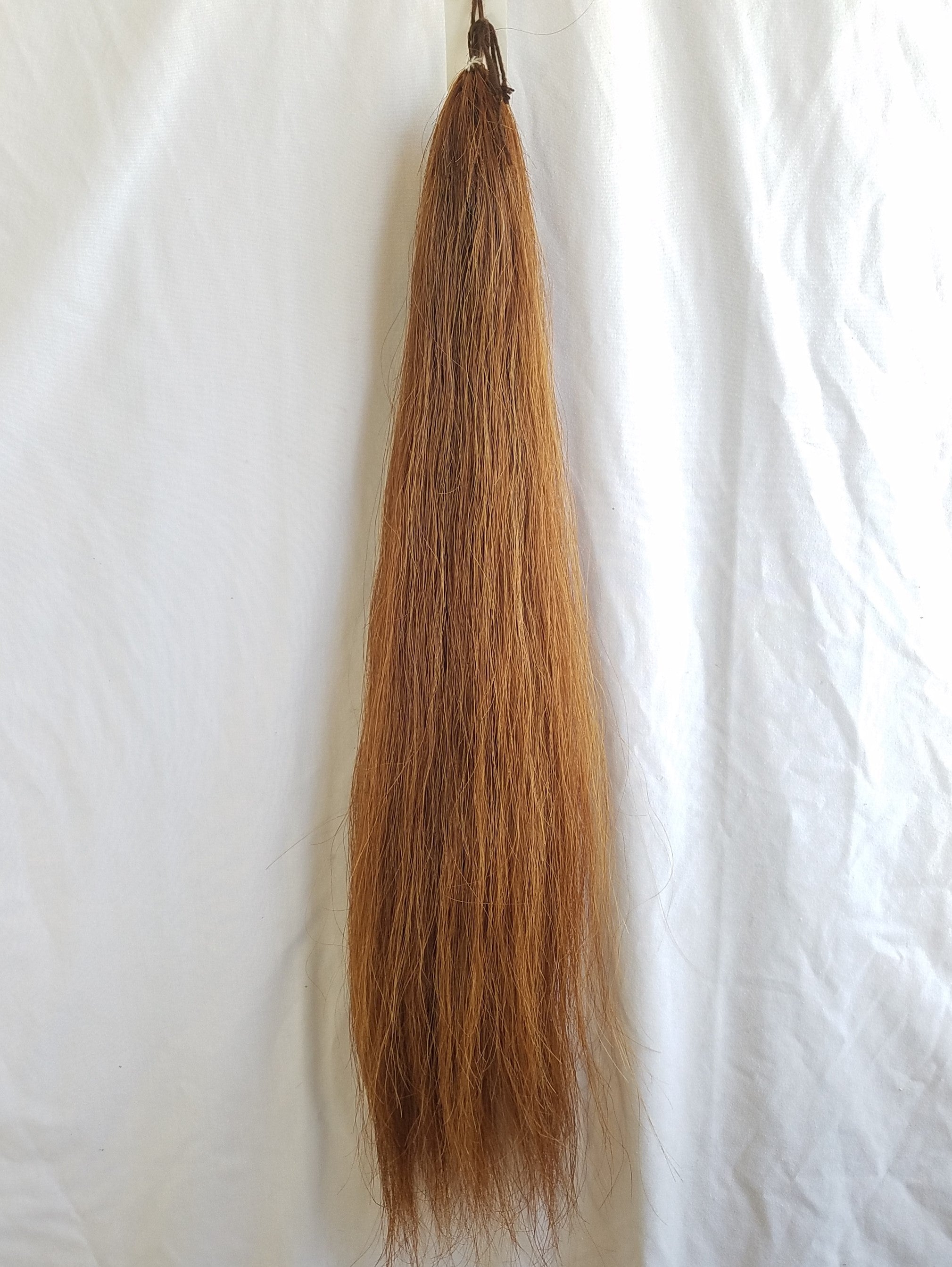 Tail Extensions – The Show Trunk