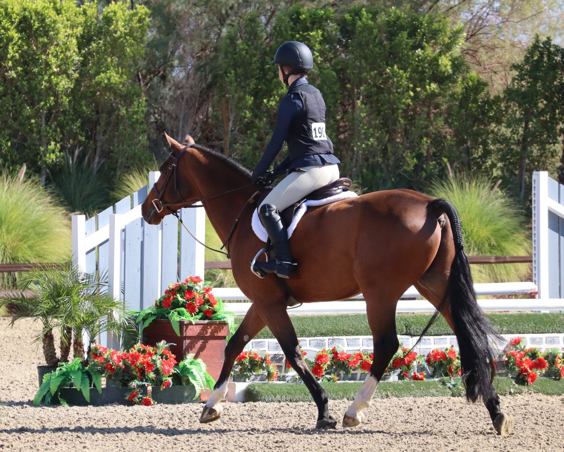 The Show Trunk Luxury Equestrian Outlet